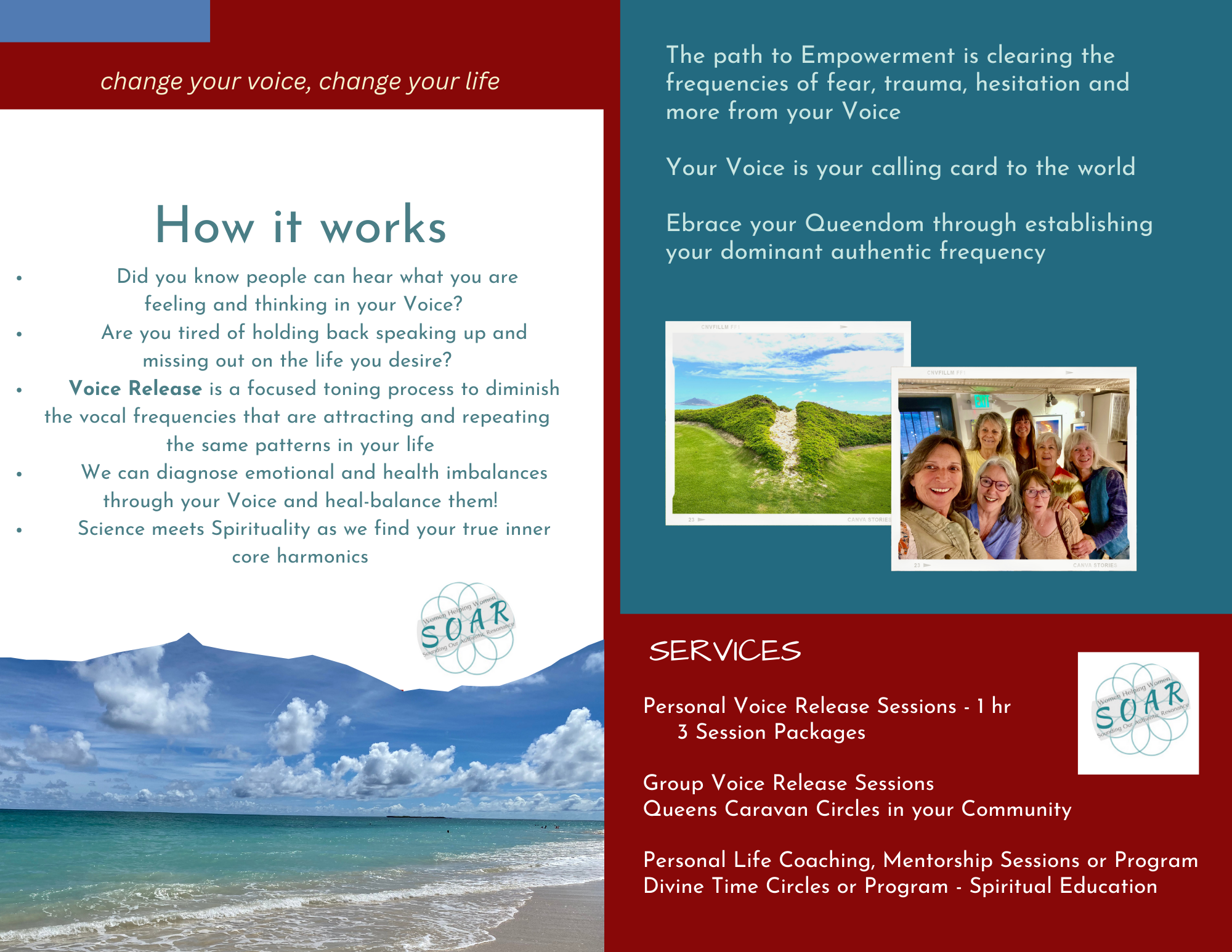 Voice Release, Voice Bio and Portacle Programs | Sound And Light ...